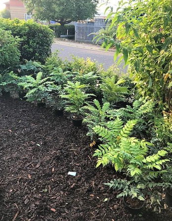 Products - Welcome to Elm Horticulture